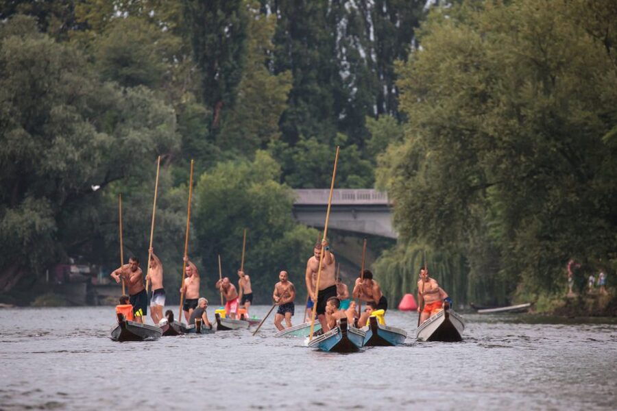 Home - Dajak Center Banja Luka